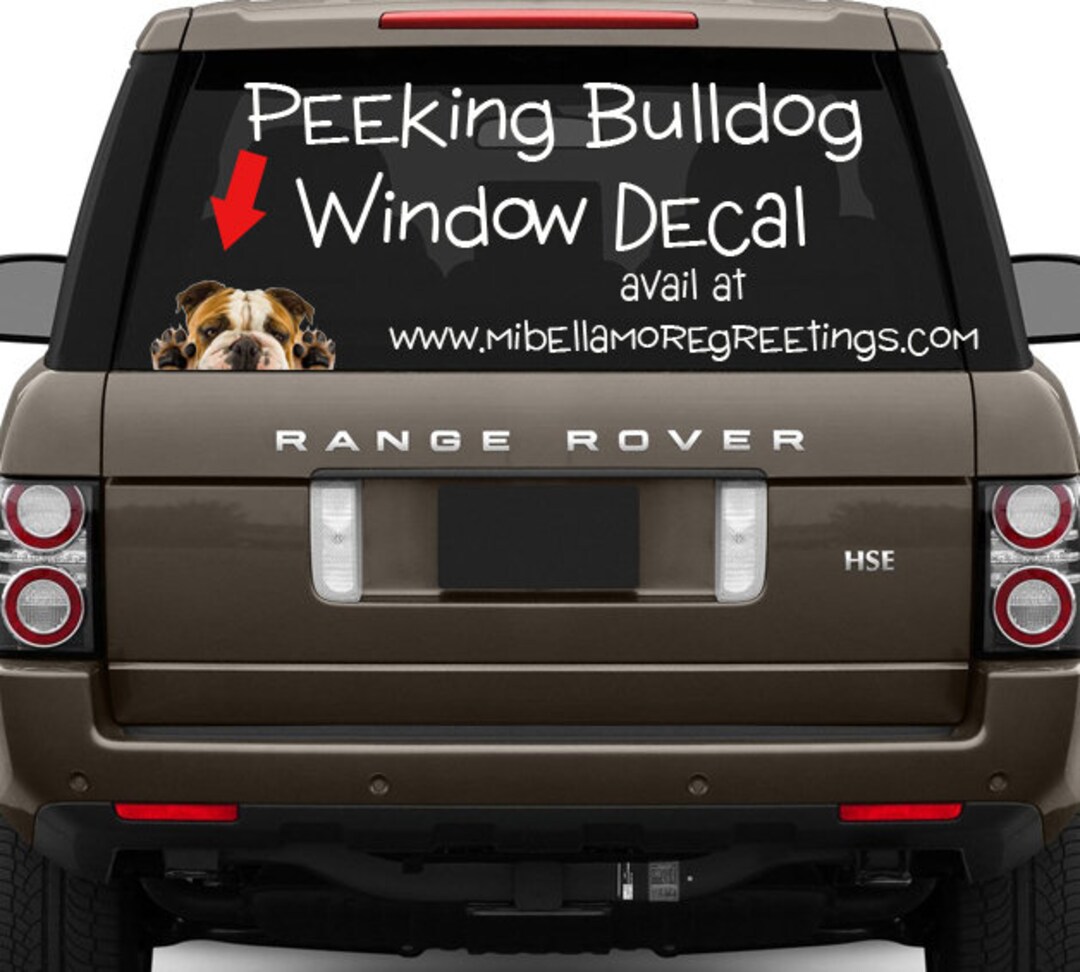 Peeking Bulldog Window Decal, 2 Colors Avail (brn/white and White) - Etsy
