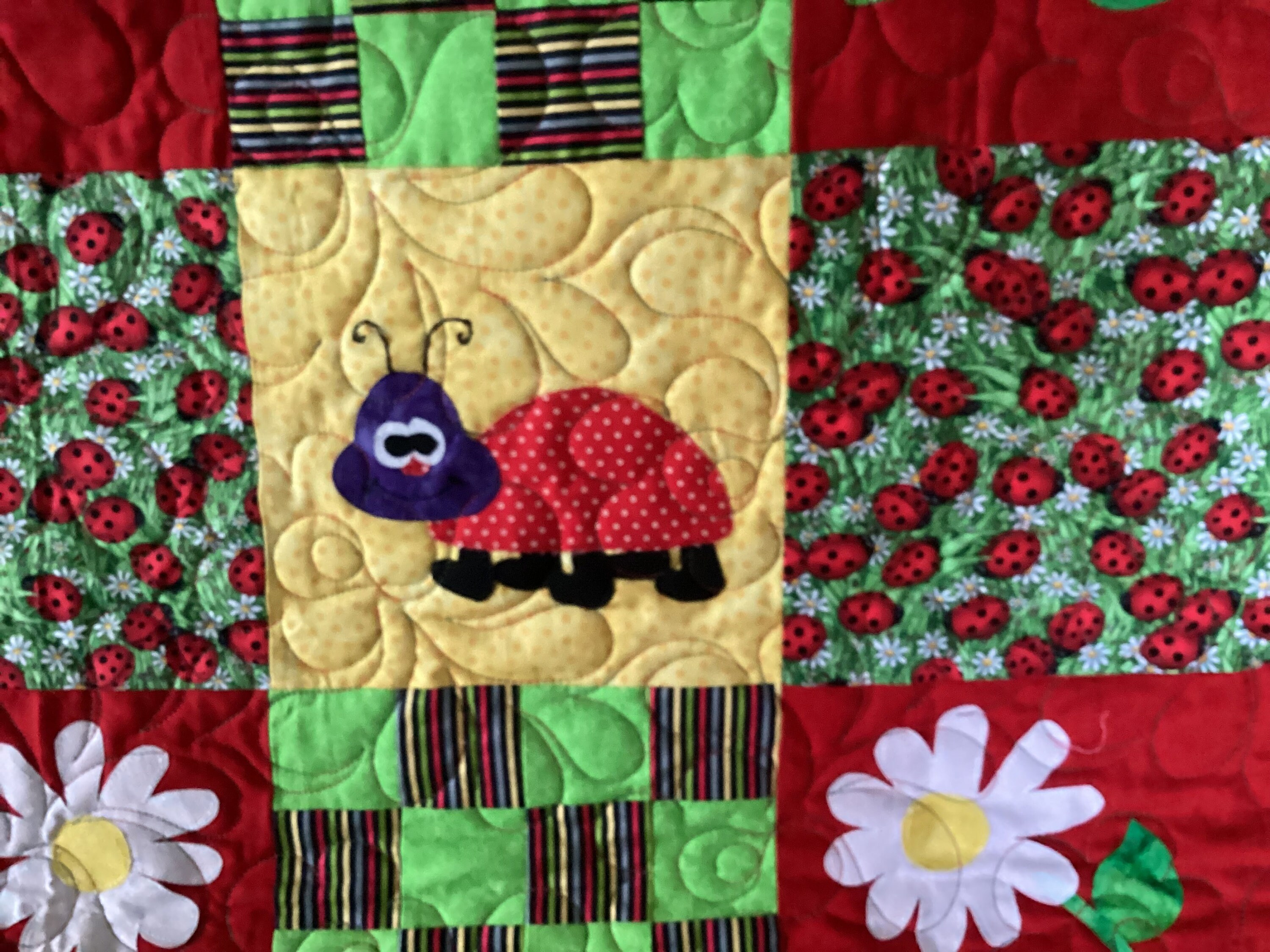 Ladybugs and Daisies Quilt - Etsy