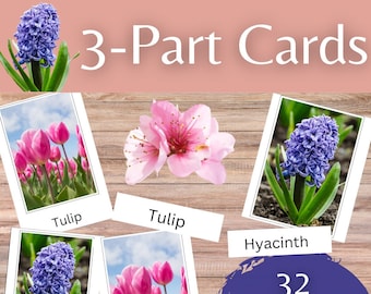 Spring Flowers Montessori 3-part Cards Early Reading & Language ...