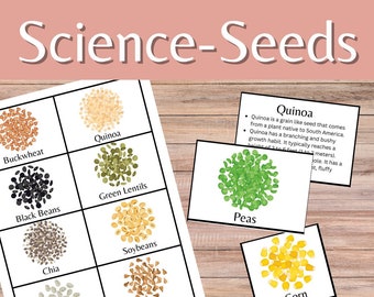 Seeds Information Cards and Matching Game for Homeschool and Classroom ...