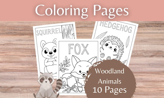 Woodland Animals Colouring