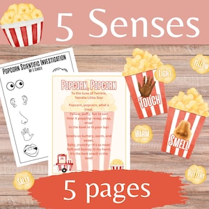 5 Senses Scientific Investigation Popcorn Activity Game and Worksheet ...