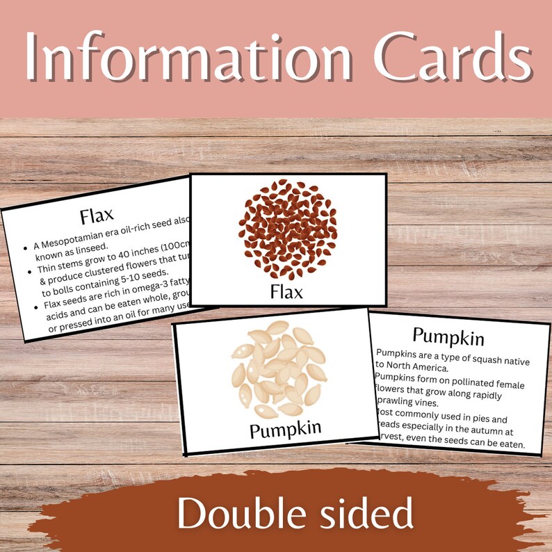 Seeds Information Cards and Matching Game for Homeschool and Classroom ...