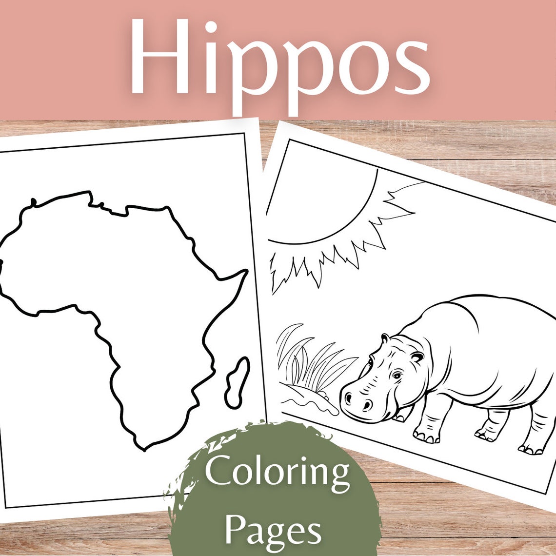 Hippopotamus Mini Unit for Science, Vocabulary, and Creative Writing ...