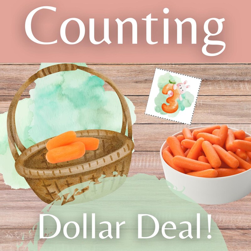Counting Game - Etsy