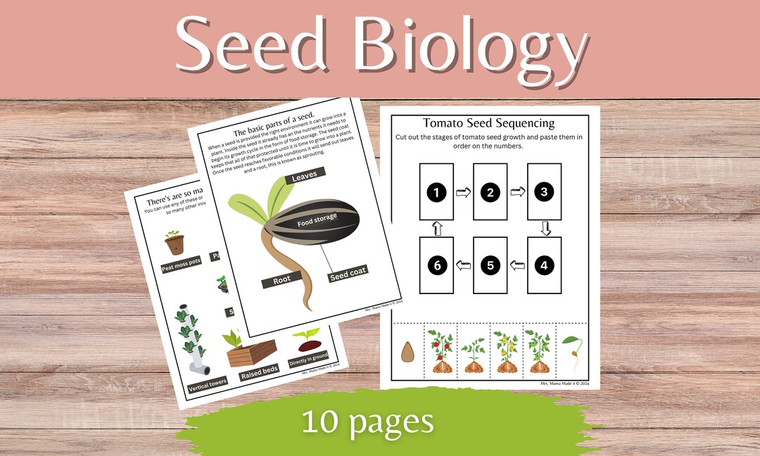 Seed Biology Mini Unit With Sequencing for Homeschool and Classroom ...