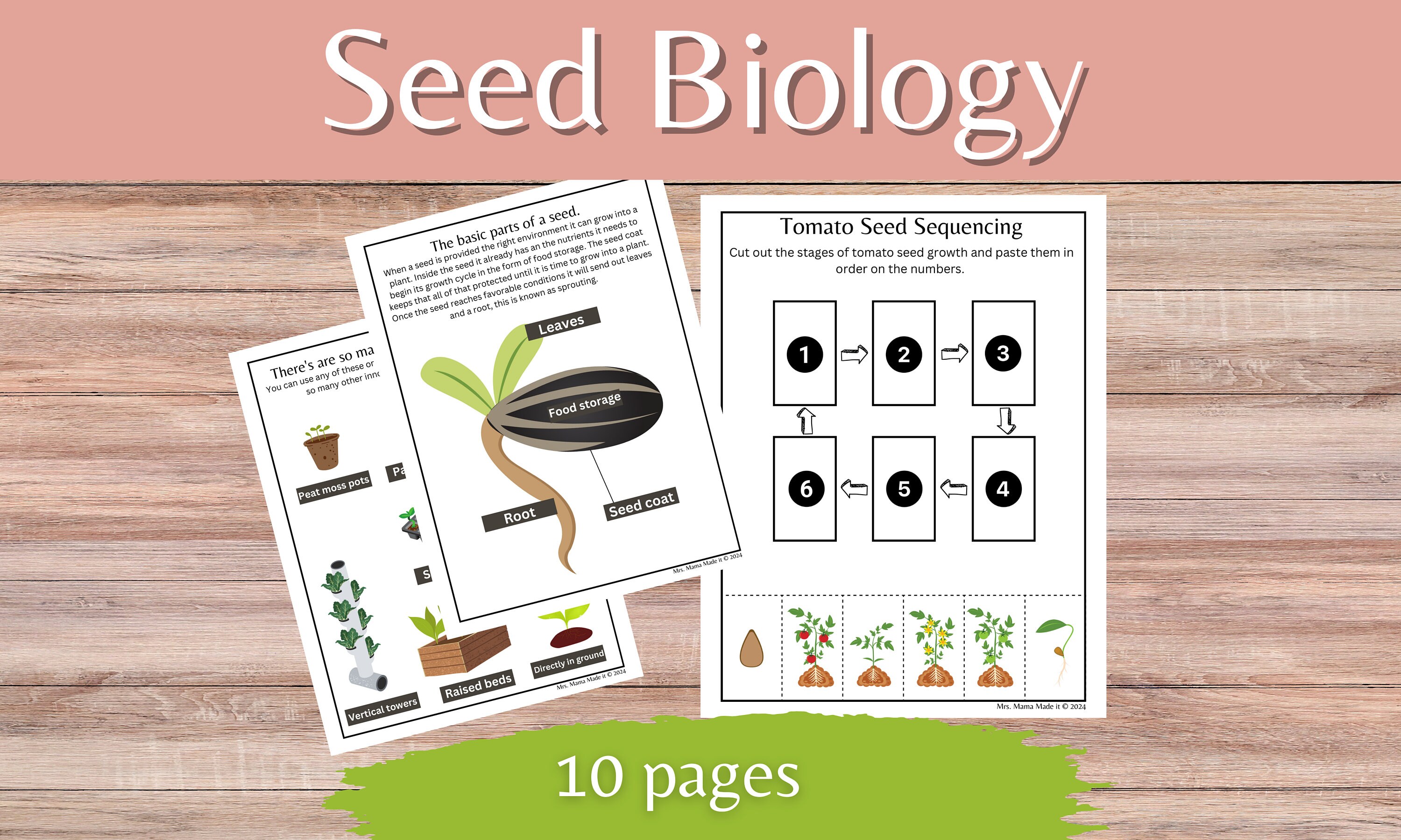 Seed Biology Mini Unit With Sequencing for Homeschool and Classroom ...
