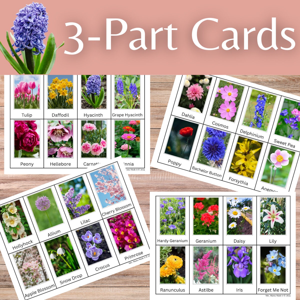 Spring Flowers Montessori 3-part Cards Early Reading & Language ...