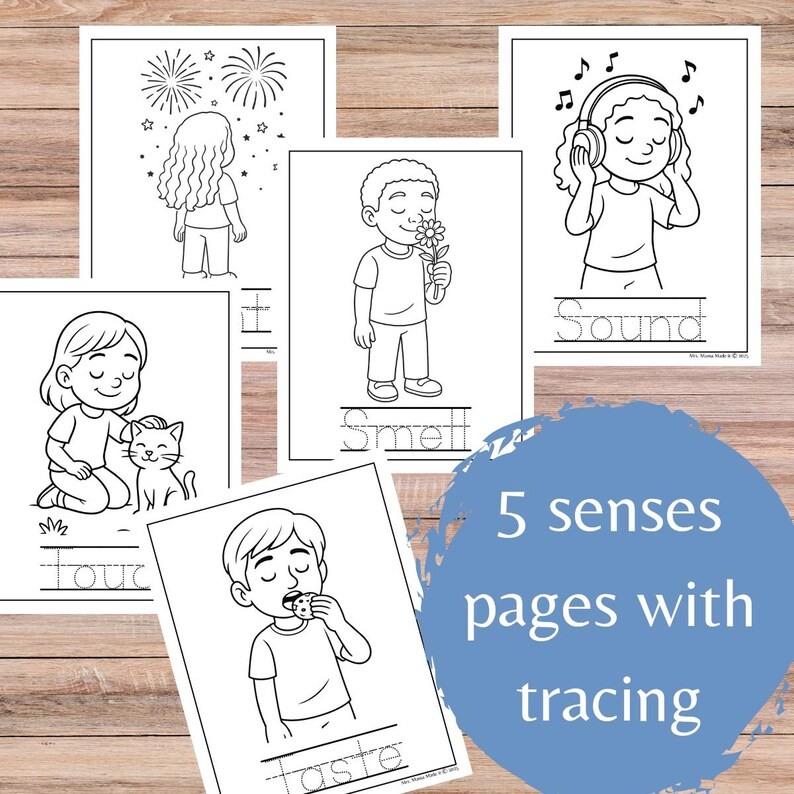5 Senses Coloring Pages: Human Body Science (digital Download) - Etsy