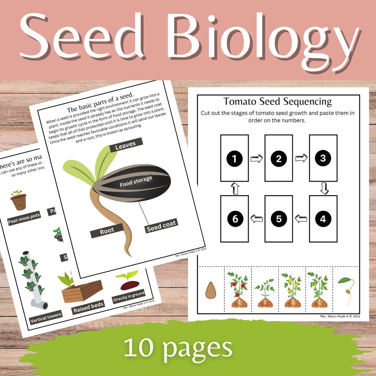 Seed Biology Mini Unit With Sequencing for Homeschool and Classroom ...