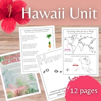 Hibiscus Flower Craft, Kids Printable Craft Template, Summer, Hawaii ...