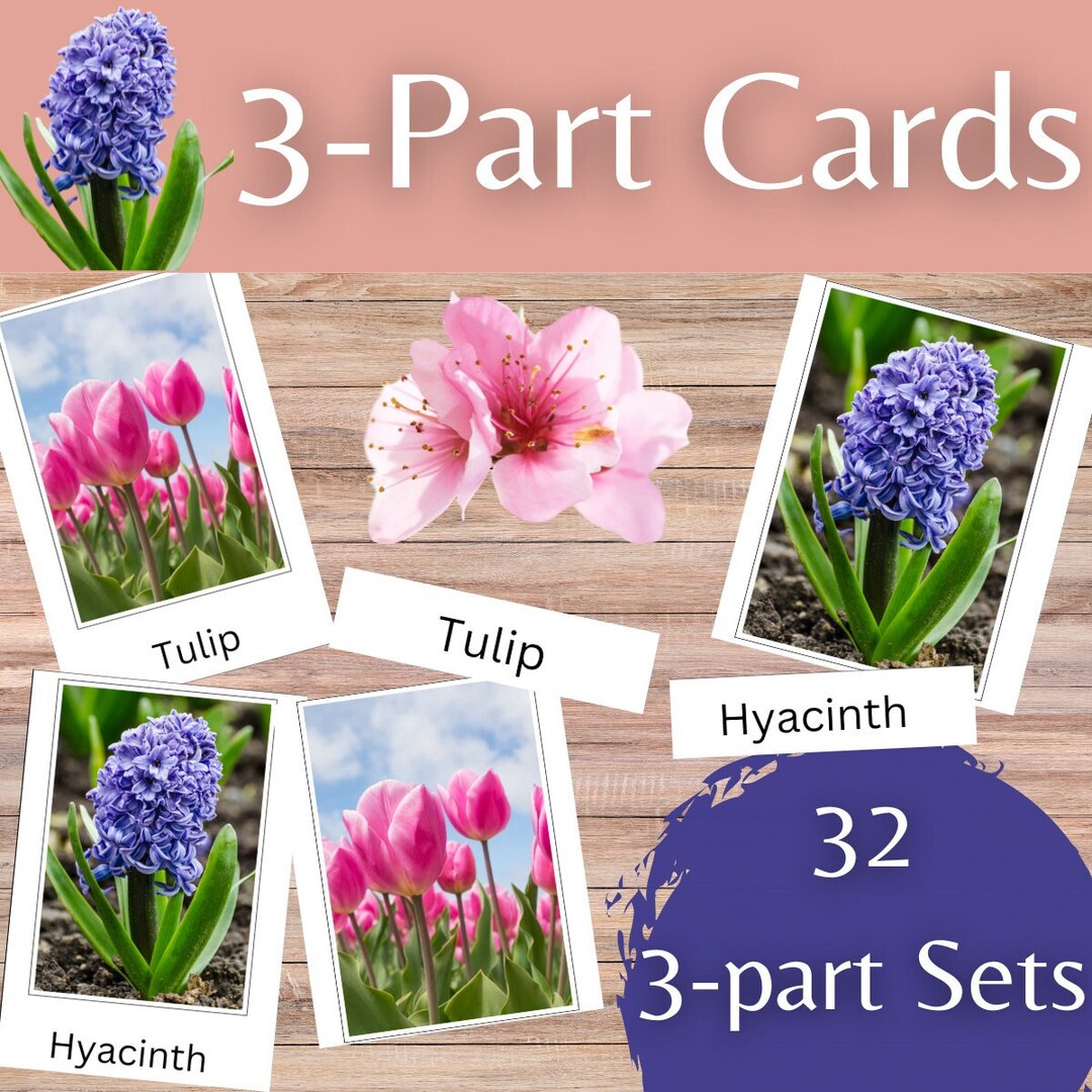 Spring Flowers Montessori 3-part Cards Early Reading & Language ...