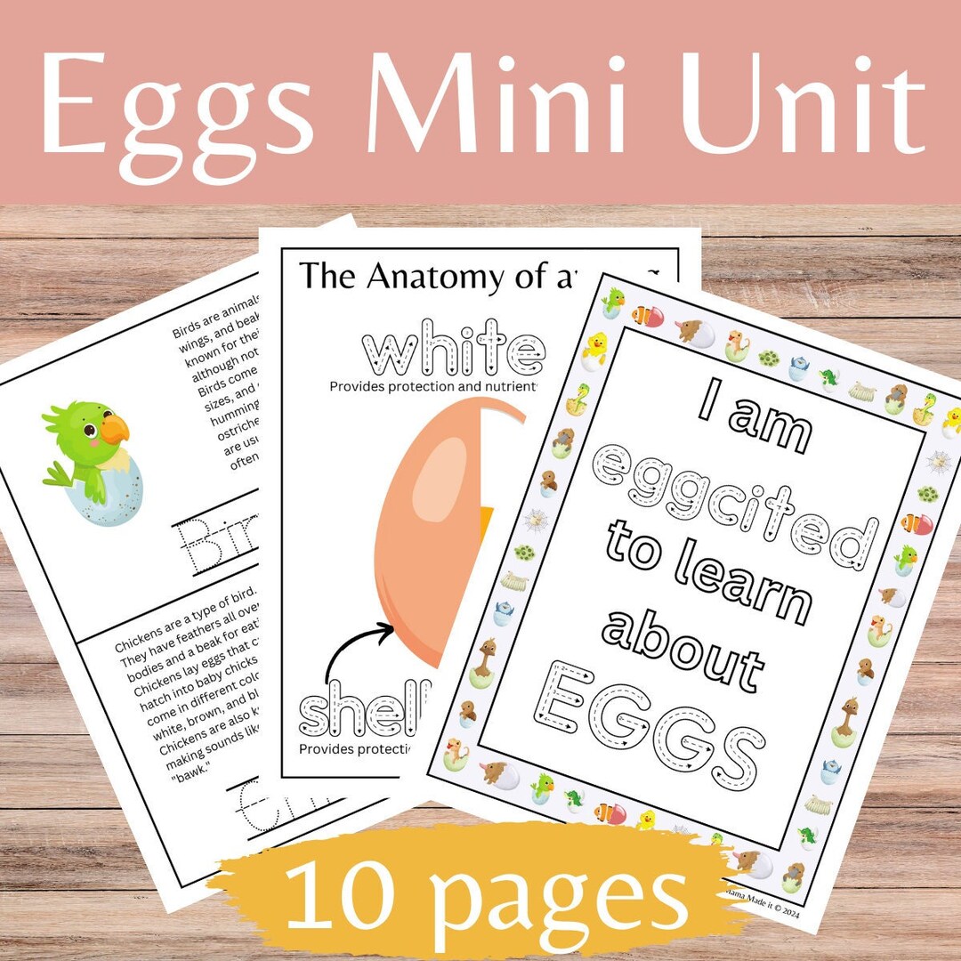 Eggs Mini Unit for Prek-2nd Grade Classroom or Homeschool With Tracing ...