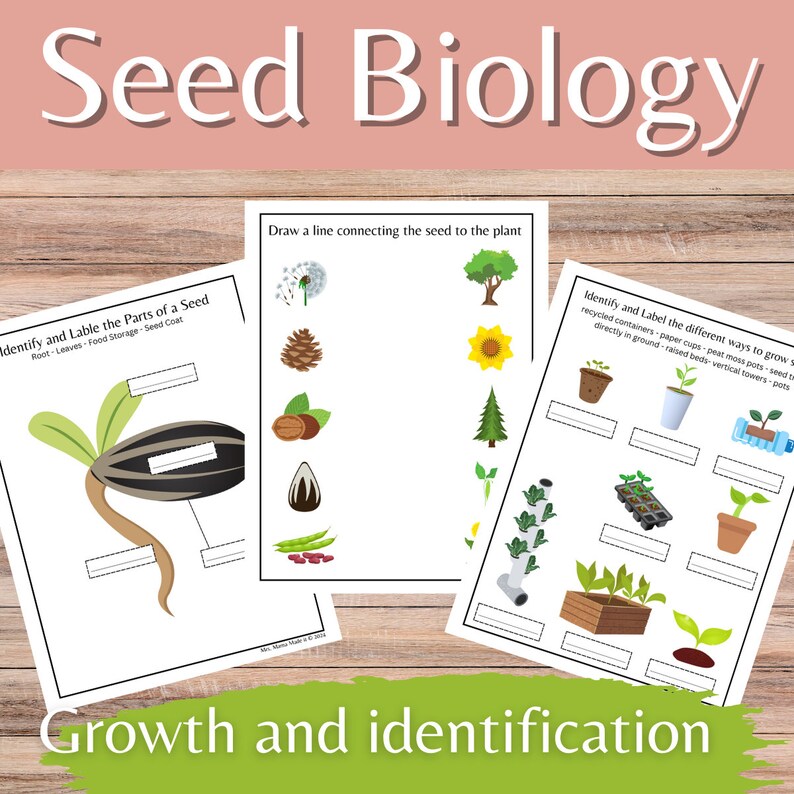 Seed Biology Mini Unit With Sequencing for Homeschool and Classroom ...