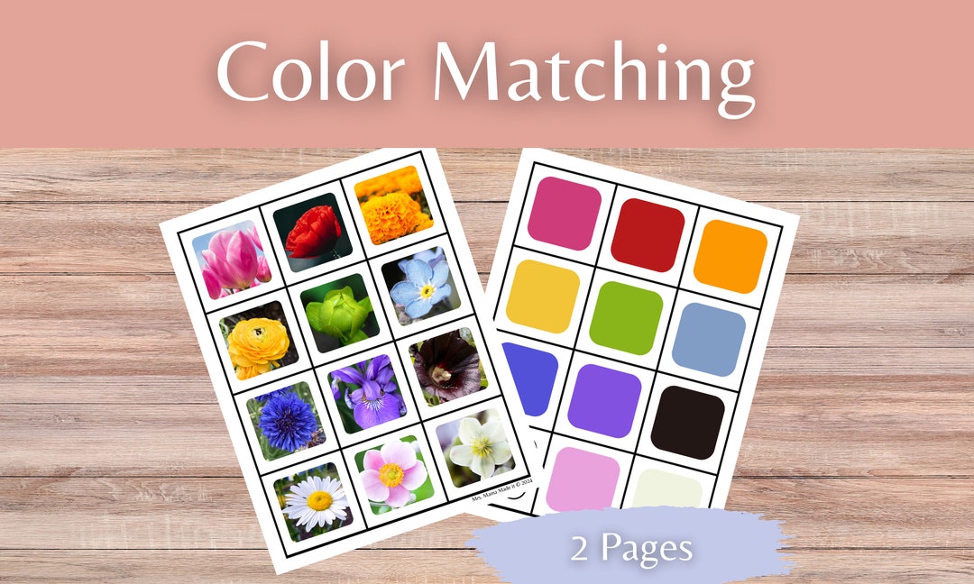 Spring Flowers Color Matching Game Montessori Style With Real Images ...