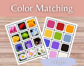 Spring Flowers Color Matching Game Montessori Style With Real Images ...