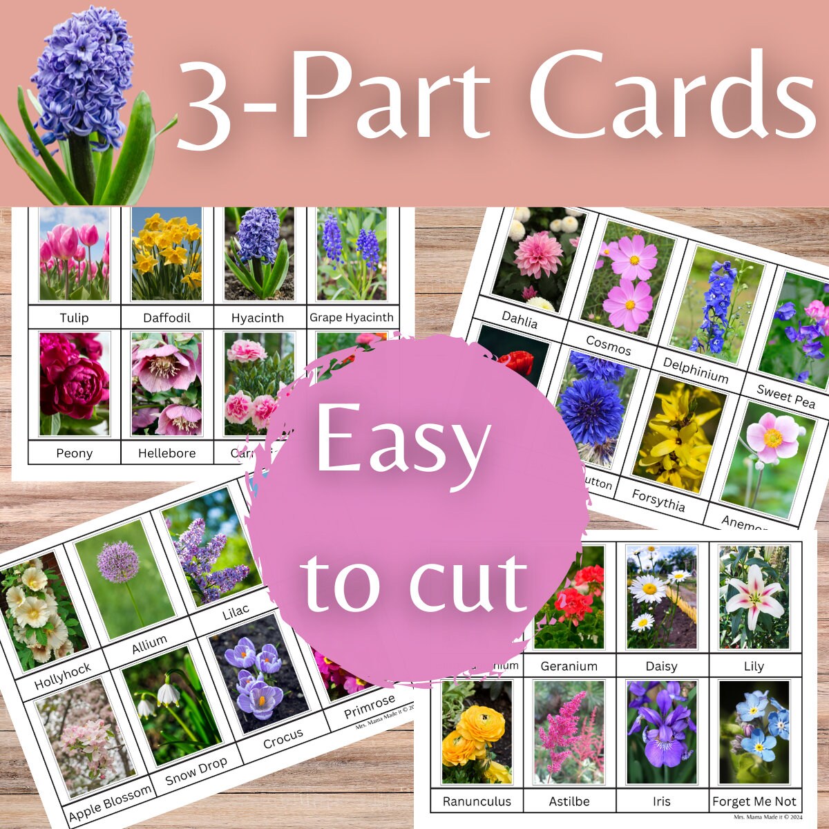 Spring Flowers Montessori 3-part Cards for Preschool and Kindergarten ...