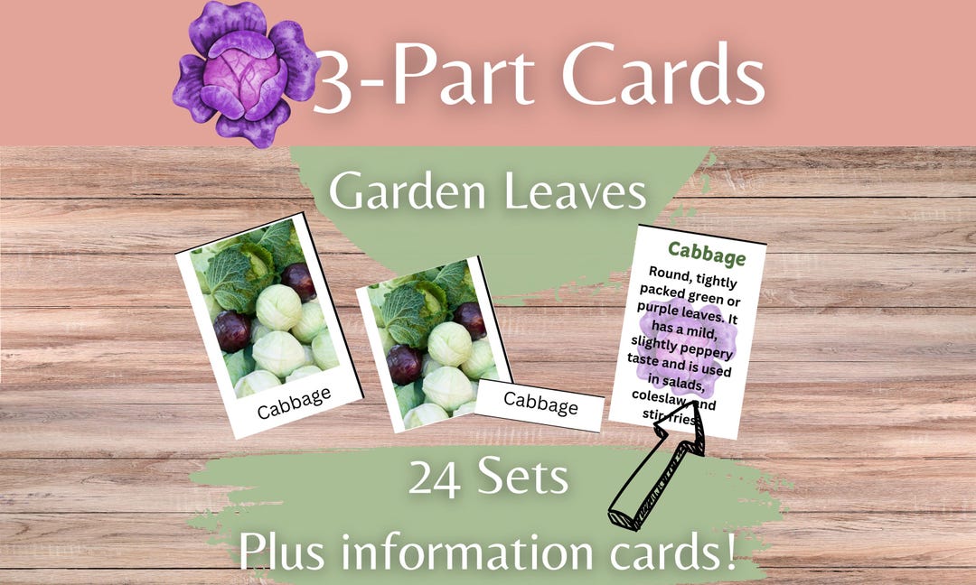 Montessori Garden Leaves 3-part Cards: Early Learning Vocabulary ...
