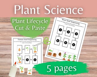 Plant Life Cycle Sequencing Cut and Paste Worksheets — Spring & Fall ...
