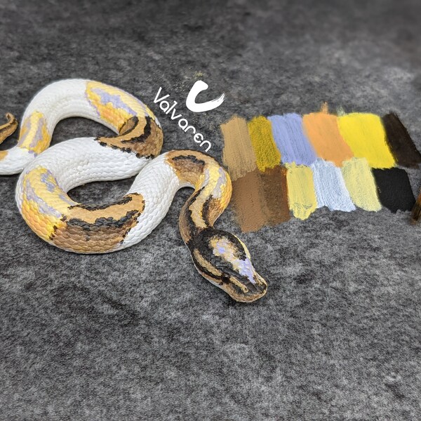 Ball Python - Etsy