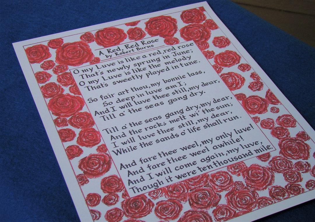 A Red, Red Rose Print /robert Burns Poem Art Print /11x14 Art Print - Etsy