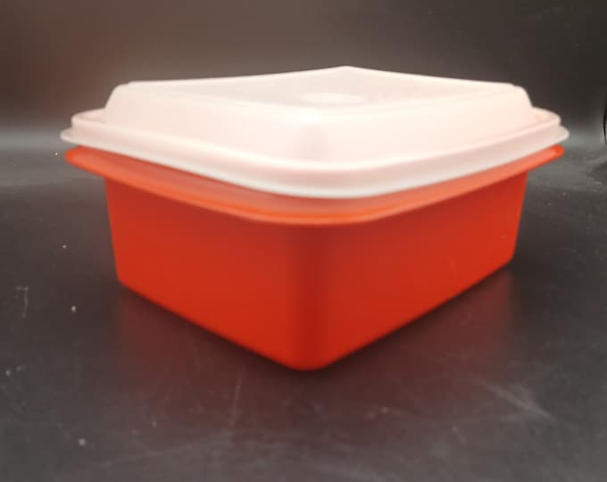 Tupperware "pak N Carry" Box, Small Lunch Box, Storage Container ...