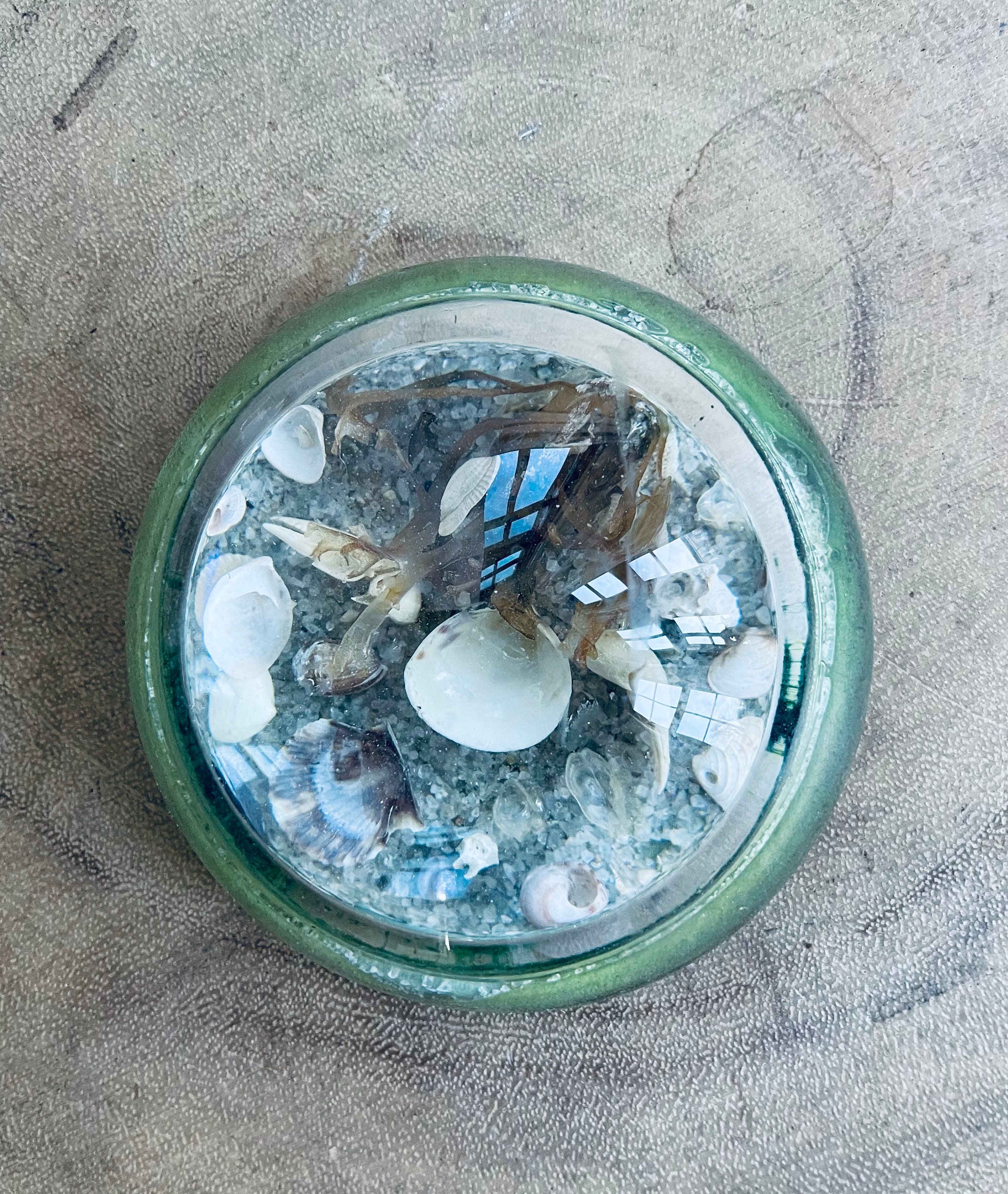 Vintage Glass Paperweight Filled With Tiny Seashells - Etsy