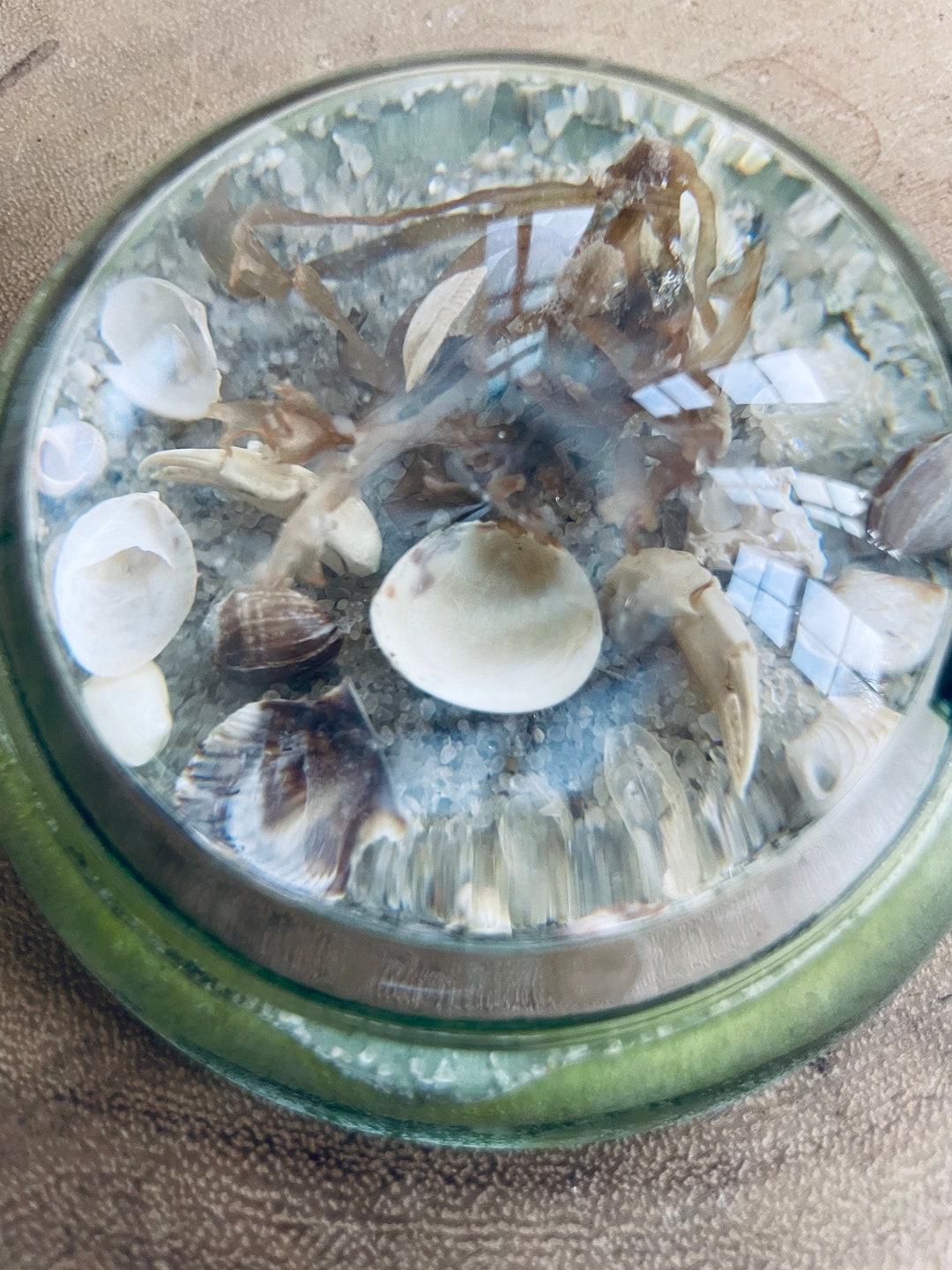 Vintage Glass Paperweight Filled With Tiny Seashells - Etsy
