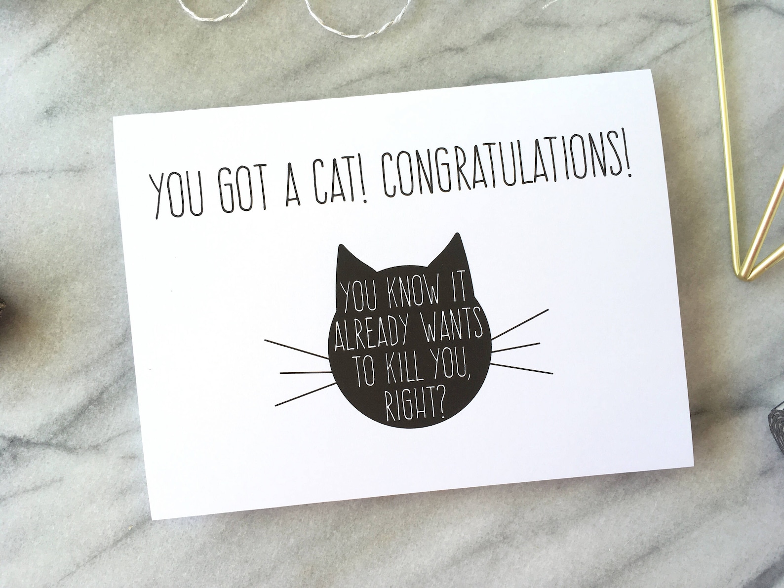 Funny Congratulations Card Funny New Pet Card Funny Got A Cat Card ...