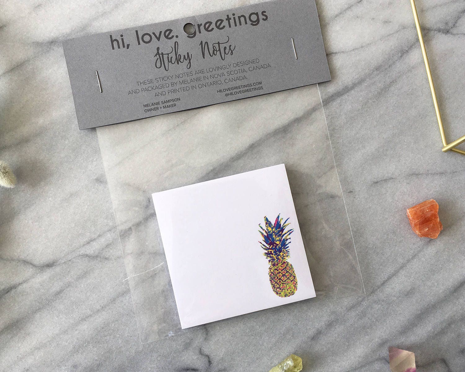 Funky Pineapple Sticky Notes Notepad — hi, love. greetings