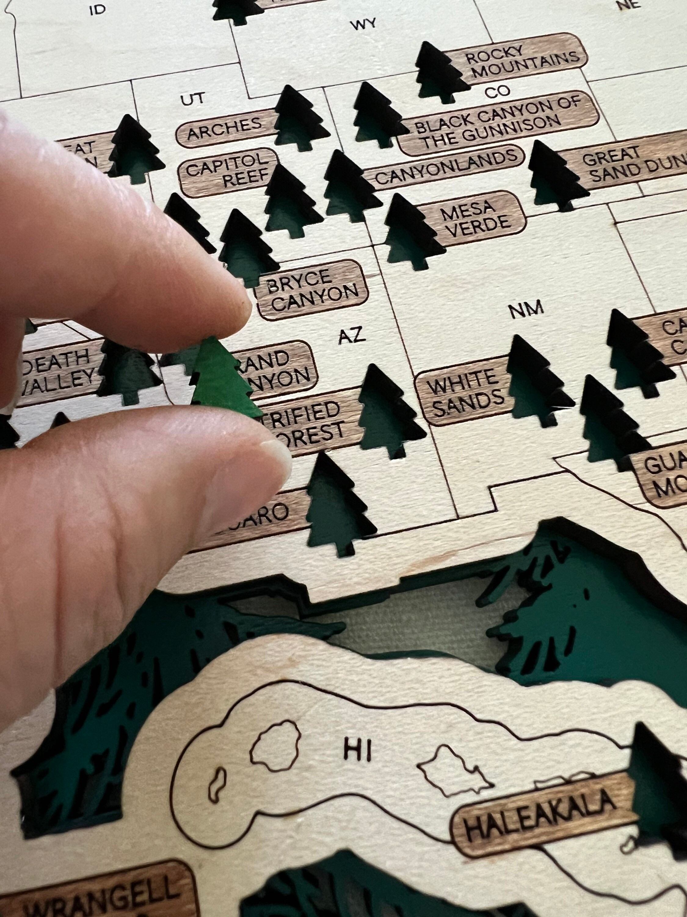 Personalized National Park Fill in Map Wall Art Wood, Adventure Tracker ...
