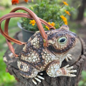Handmade Frog or Toad Witch Lined Purse Handbag in Black or Green Brown ...