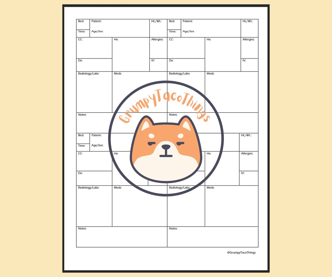 ER Nurse Report Sheet, Nurse Brain Sheet, Emergency Room, Emergency ...