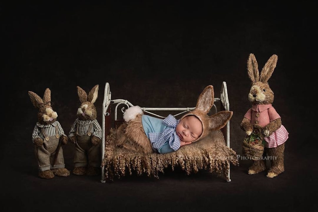 Newborn Peter Rabbit Pants And/or Sweater ONLY, Newborn Baby Bunny ...