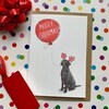 Donkey Birthday Greetings Card for Animal Lovers, Donkey Card - Etsy