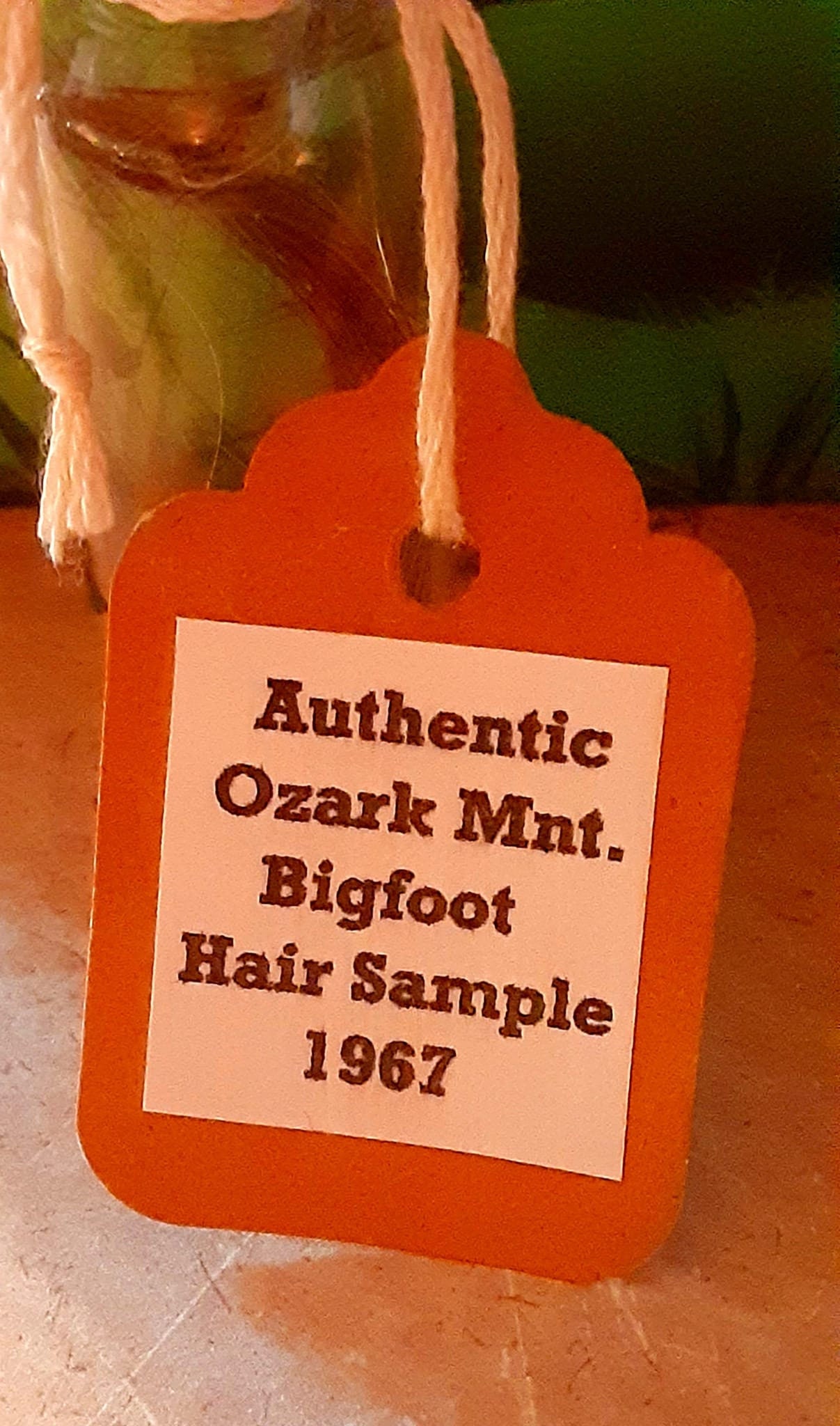 Bigfoot Sasquatch Hair Sample Collectible for Bigfoot - Etsy