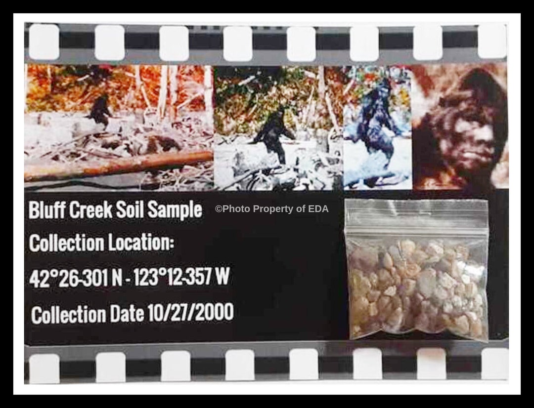 1967 Bigfoot Bluff Creek Soil Sample Patterson Gimlin Film Site Limited ...