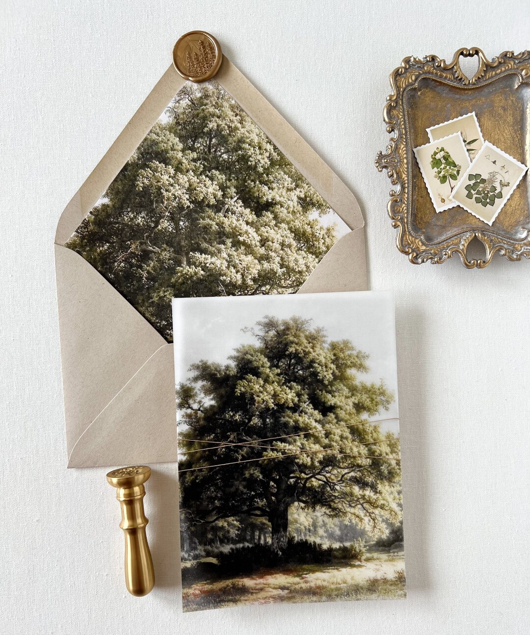 Vellum Jacket for DIY Rustic Wedding Invitation Oak Tree Wedding ...