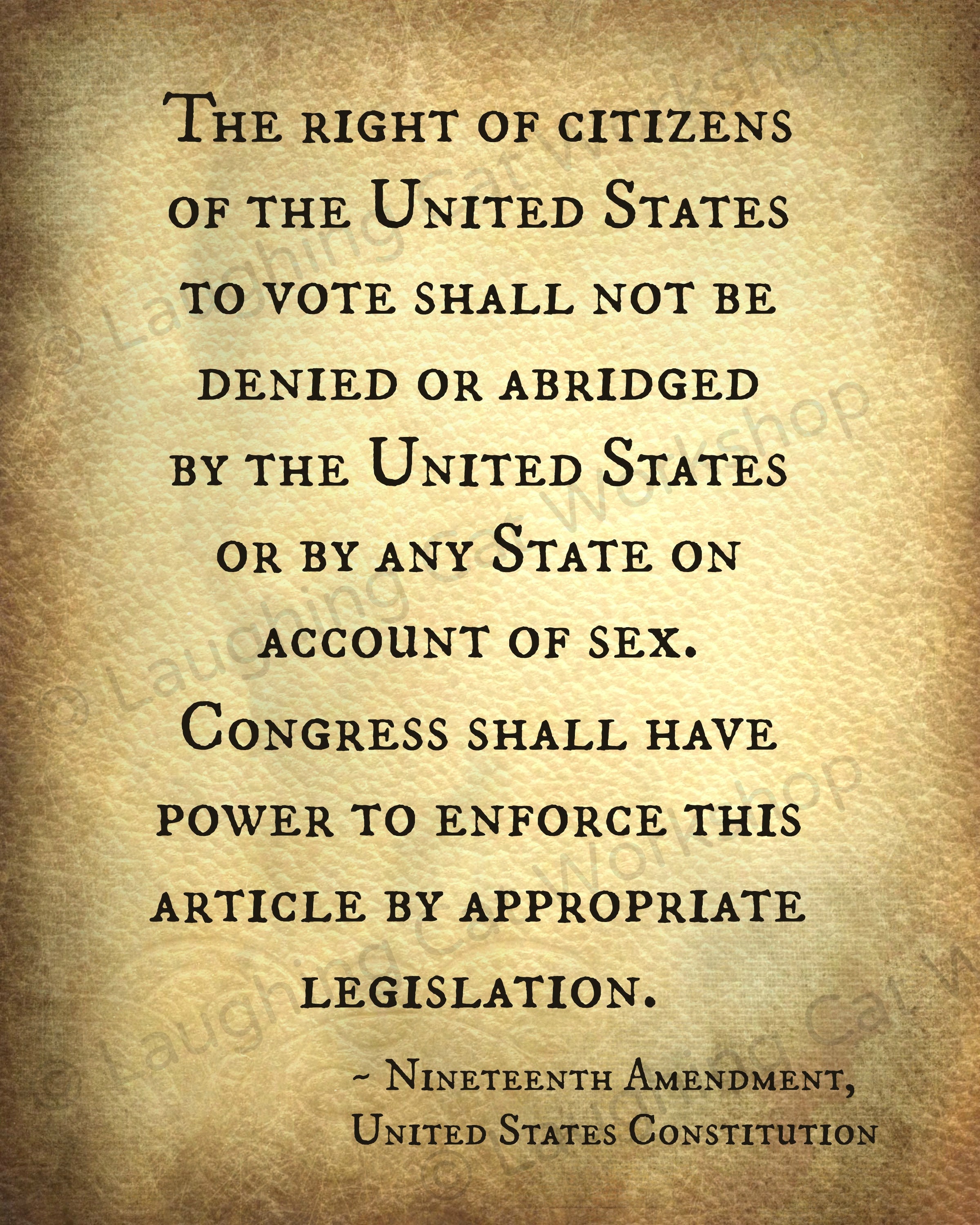 19th Amendment United States Constitution Art Print Attorney Lawyer Art ...