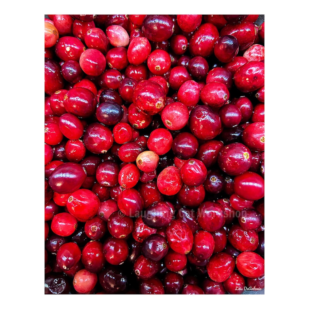 Cranberry Photograph Cranberries Food Photography Fruit Art Print Red ...