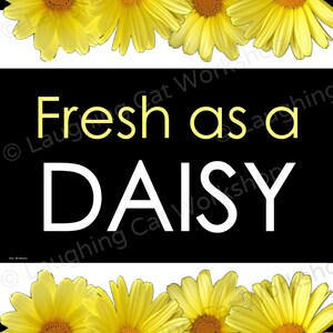 Fresh as a Daisy Art Print Funny Bathroom Art Cute Kids Bathroom Decor ...