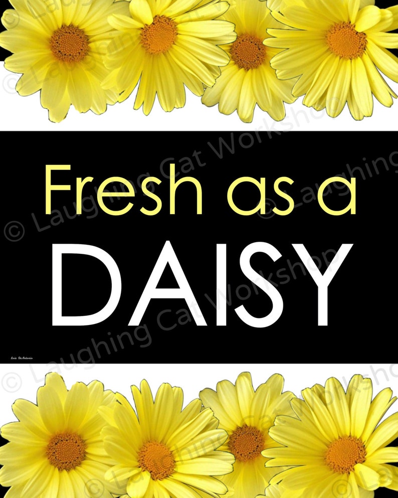 Fresh as a Daisy Art Print Funny Bathroom Art Cute Kids Bathroom Decor ...
