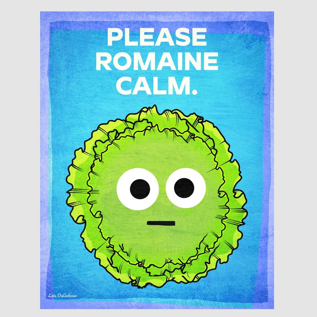 Keep Calm Poster Funny Romaine Calm Comic Art Print Mental Health ...