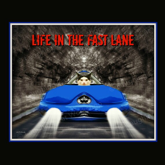 Funny Race Car Memes