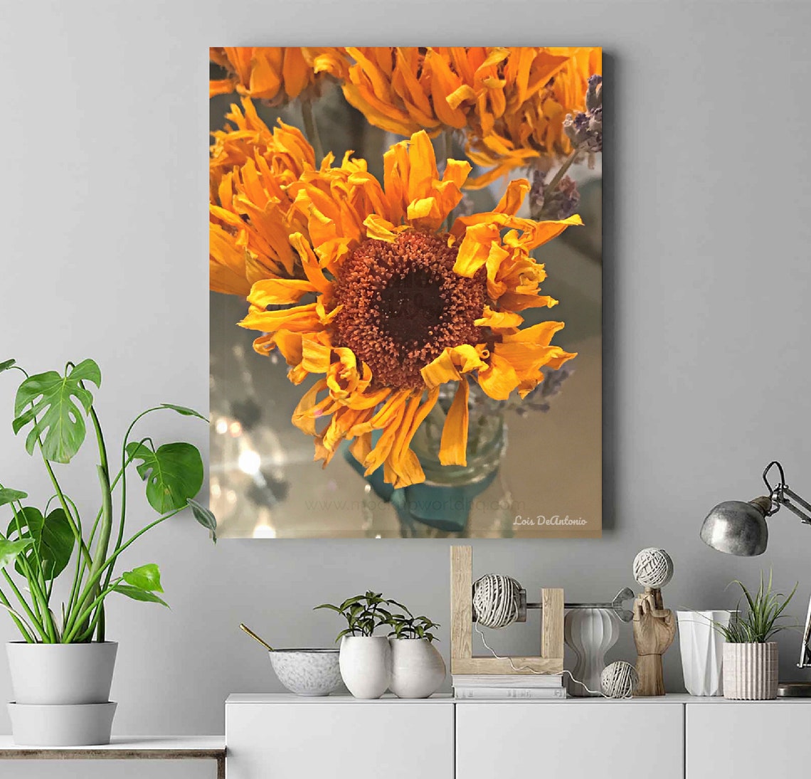 Dried Flower Art Print Modern Art Photograph Garden Botanical ...