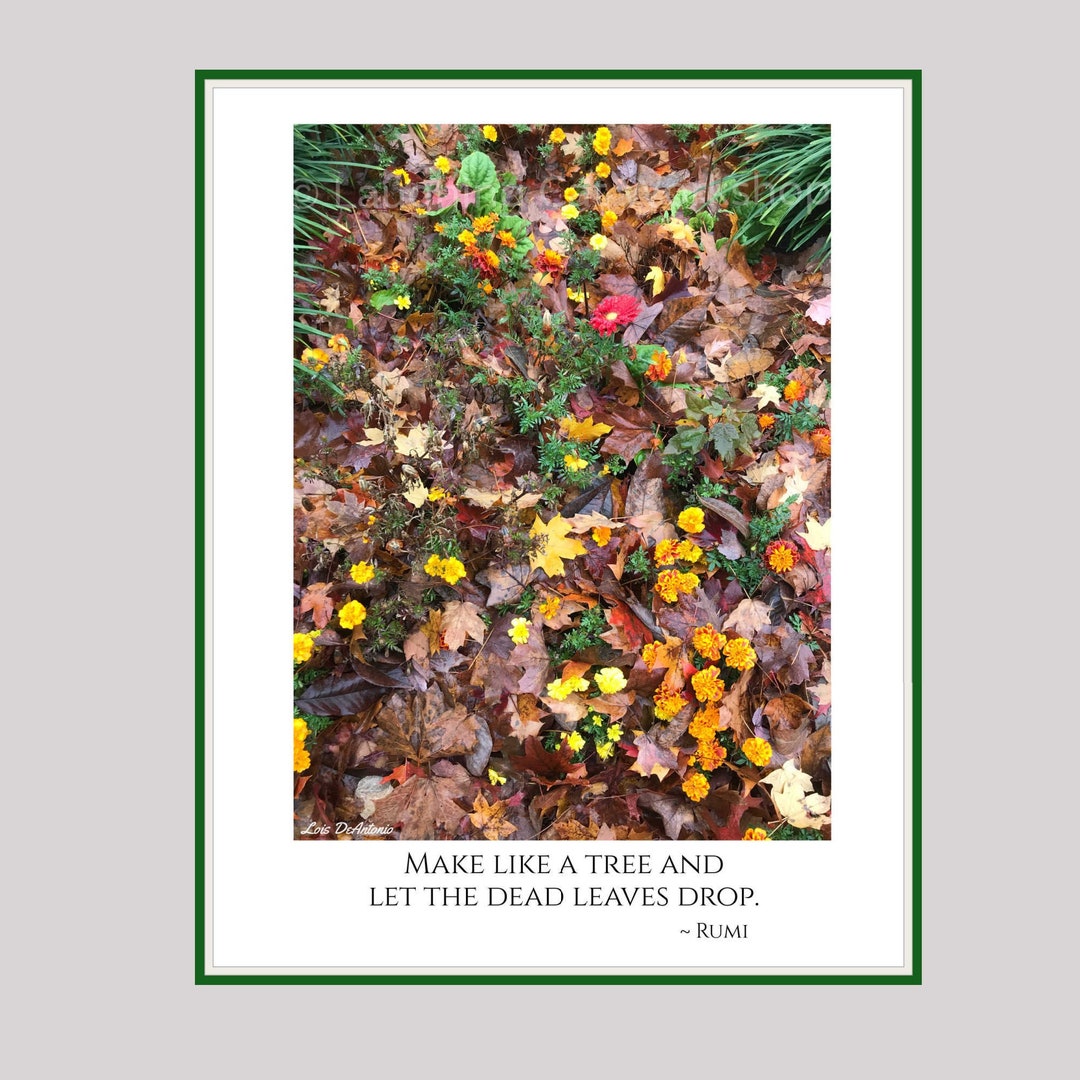 Mental Health Education Print Whimsical Nature Fall Autumn Tree Leaves ...