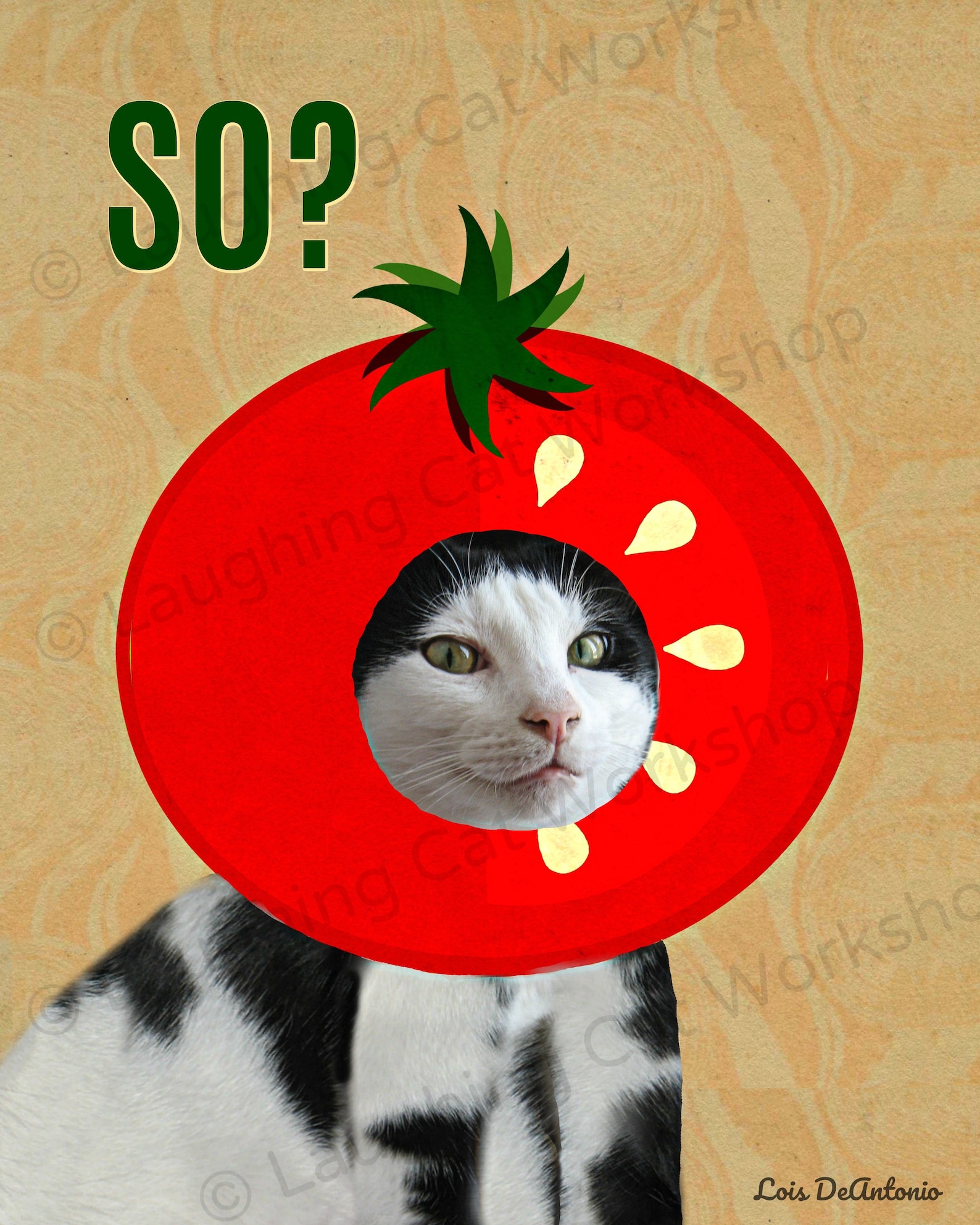 Tomato Art Funny Hipster Cat Art Meme Print Whimsical Photobomb Wall ...
