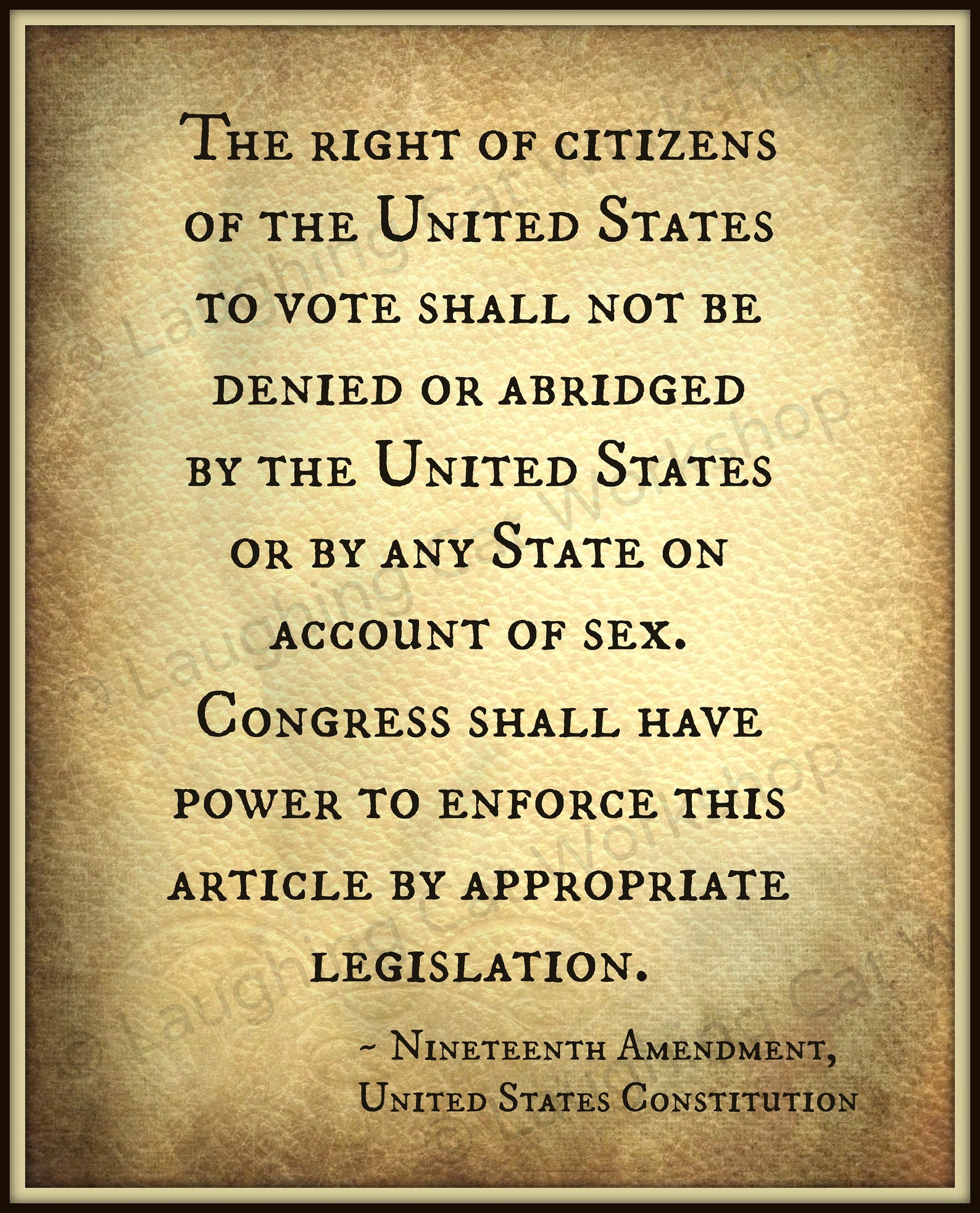 19th Amendment United States Constitution Art Print Attorney Lawyer Art ...