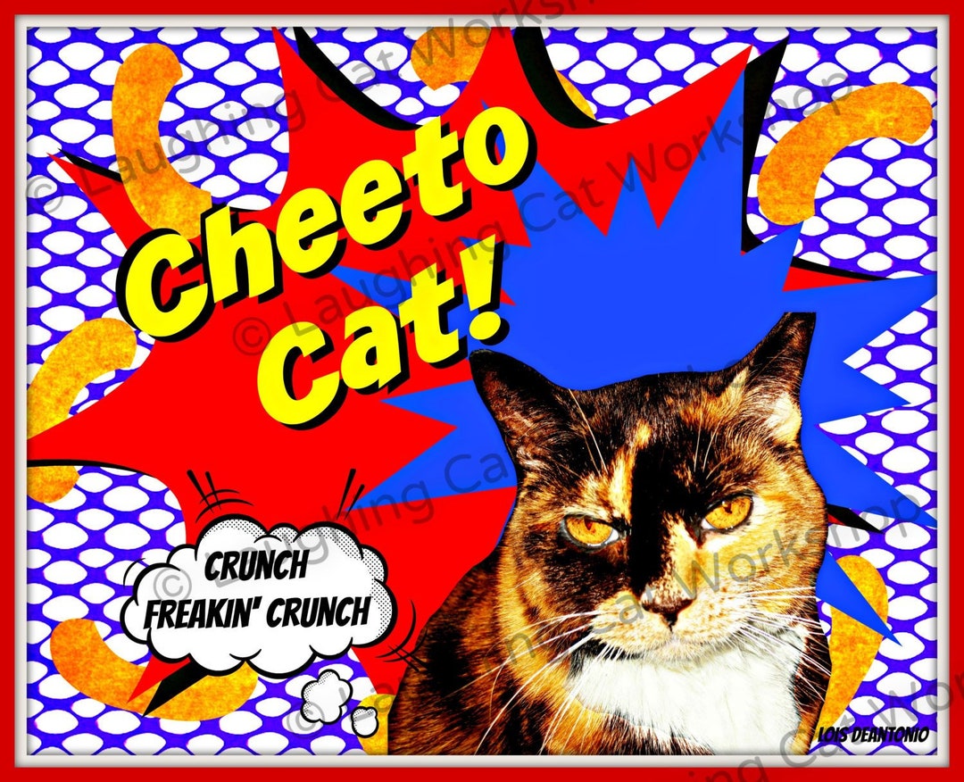 Funny Cat Meme Old School Comics Superhero Cat Cheeto Cheese Snack Art ...