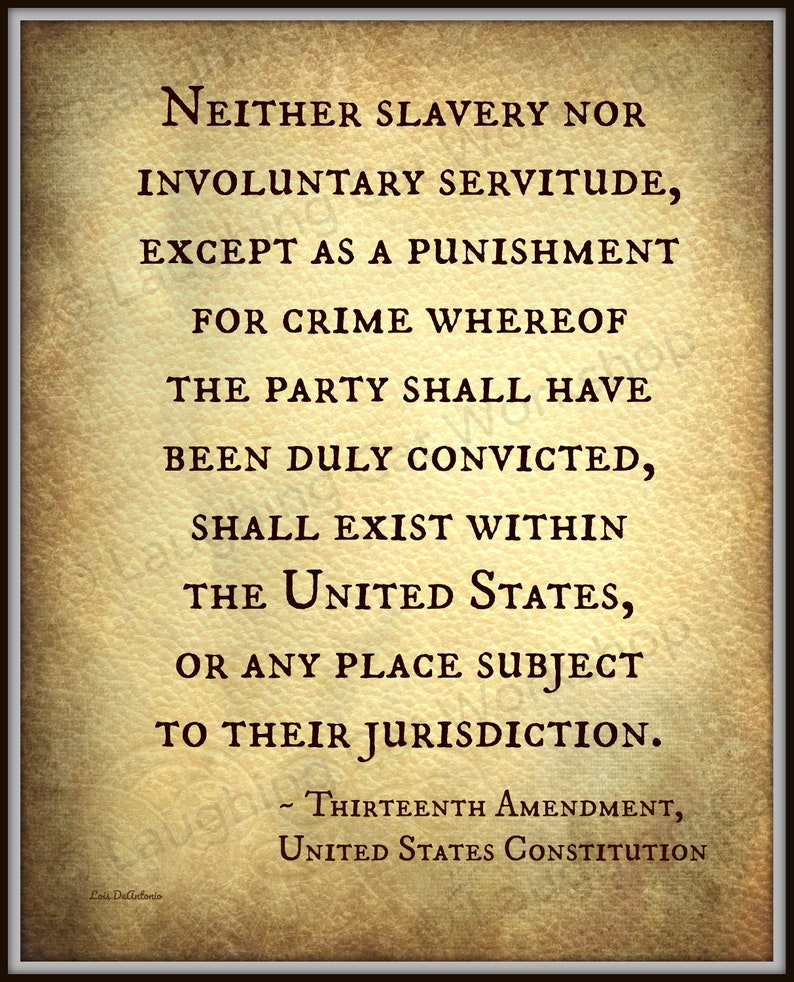 Thirteenth 13th Amendment US Constitution Black Lives Matter Slavery ...